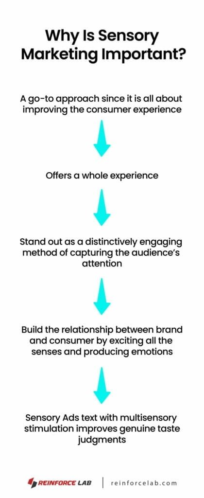 Sensory Marketing: 5 Senses Marketing for Business | Reinforce Lab
