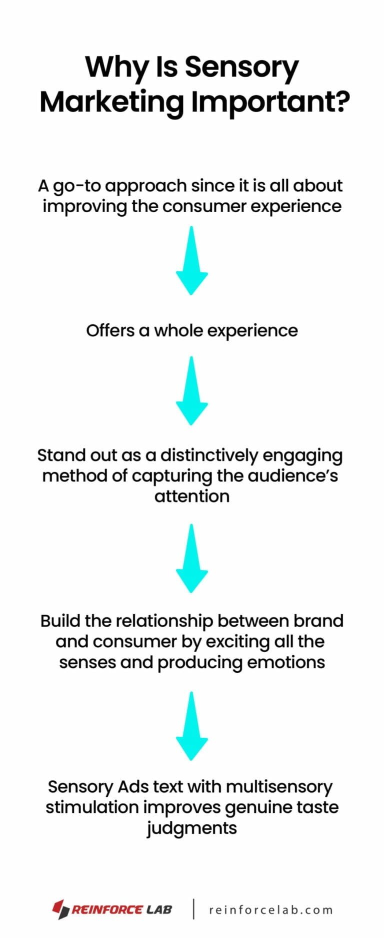 Sensory Marketing: 5 Senses Marketing for Business | Reinforce Lab